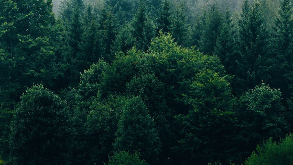 Industrial Mixers: Inline, In-Tank, Powder Induction Solutions - Admix